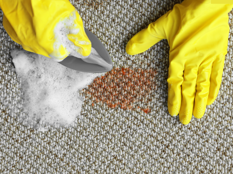 Carpet Stain Protection | Carpet Stain Protection Treatments